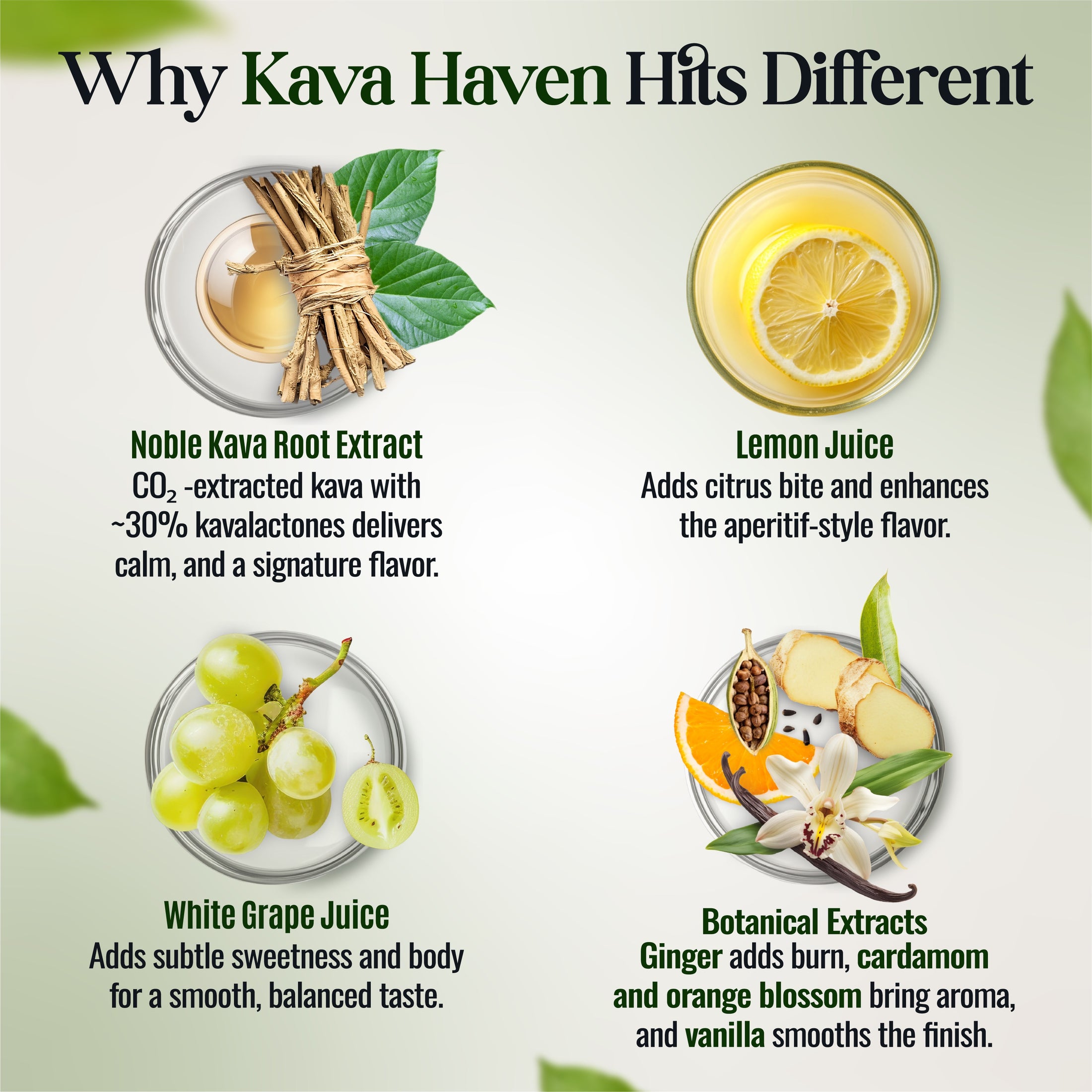 Kava-Infused Non-Alcoholic Spirit – KAVA HAVEN